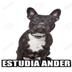 Meme Personalizado - Estudia Ander - 31092030