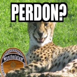 Meme Personalizado - perdon? - 31092314