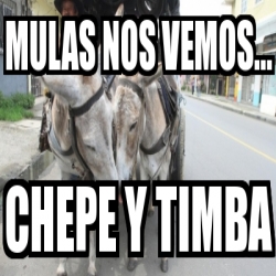 Meme Personalizado - Mulas nos vemos... Chepe y Timba - 31093202