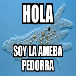 Meme Personalizado - Hola Soy la ameba pedorra - 31901994