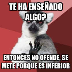 Meme Chill Out Lemur - Te ha enseñado algo? Entonces no ofende, se mete ...