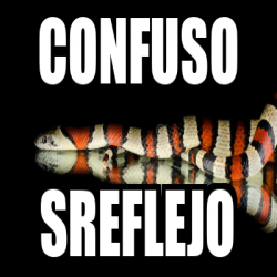 Meme Personalizado - confuso sreflejo - 31903378