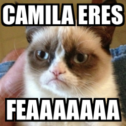 Meme Grumpy Cat - camila eres feaaaaaaa - 31907046