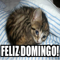 Meme Personalizado - Feliz domingo! - 31909032