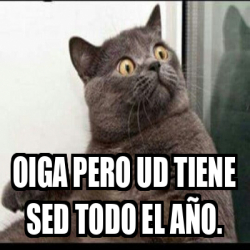 Meme Personalizado - Oiga pero ud tiene sed todo el año. - 31909340