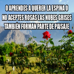Meme Personalizado - O aprendes a querer la espina o no aceptes rosas ...
