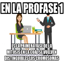 Meme Personalizado - En la profase 1 Es la primera fase de la mitosis ...
