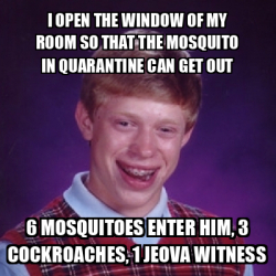 Meme Bad Luck Brian - I open the window of my room so that the mosquito ...