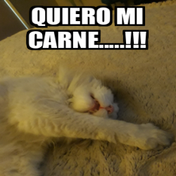 Meme Personalizado - QUIERO MI CARNE.....!!! - 31921240