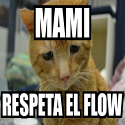 Meme Personalizado - MAMI RESPETA EL FLOW - 31923760
