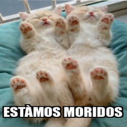 Meme Personalizado - Estàmos Moridos - 31929045