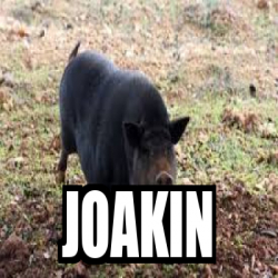 Meme Personalizado - Joakin - 31937971
