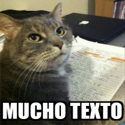 Meme Personalizado - Mucho texto - 31939443