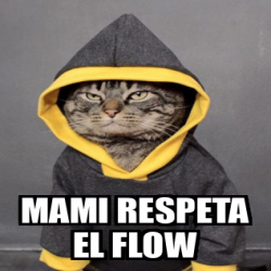 Meme Personalizado - Mami respeta el flow - 31941929