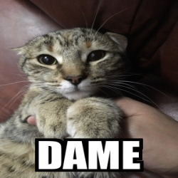 Meme Personalizado - dame - 31942522