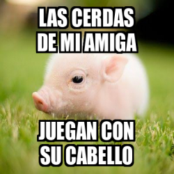 Meme Personalizado - Las cerdas de mi amiga juegan con su cabello ...