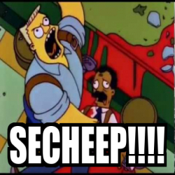 Meme Personalizado - SECHEEP!!!! - 31956731