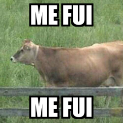Meme Personalizado - Me fui Me fui - 31966126
