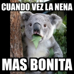 Meme Koala - CUANDO VEZ LA NENA MAS BONITA - 31969931