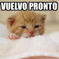 Meme Personalizado - vuelvo pronto - 31970659