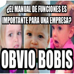 Meme Personalizado - ¿el manual de funciones es importante para una ...