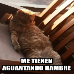 Meme Personalizado - Me tienen aguantando hambre - 31980896