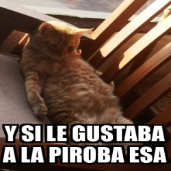 Meme Personalizado - Y si le gustaba a la piroba esa - 31980908