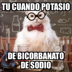Meme Chemistry Cat - Tu cuando potasio de bicorbanato de sodio - 31996477