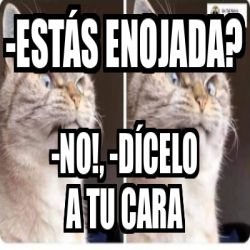 Meme Personalizado - -estás enojada? -no!, -dícelo a tu cara - 31997882