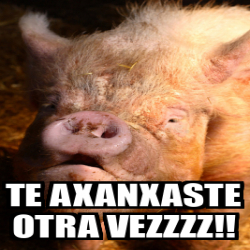 Meme Personalizado - te axanxaste otra vezzzz!! - 32003522