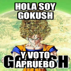 Meme Personalizado - HOLA SOY GOKUSH Y VOTO APRUEBO - 32005972