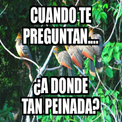 Meme Personalizado - cuando te preguntan.... ¿a donde tan peinada ...