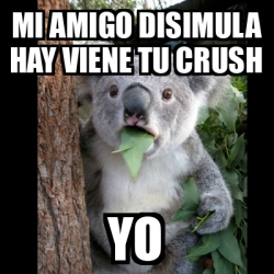Meme Koala - MI AMIGO DISIMULA HAY VIENE TU CRUSH YO - 32013088