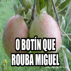 Meme Personalizado - o botín que rouba miguel - 32121574