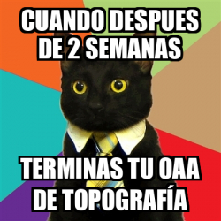Meme Business Cat - Cuando despues de 2 semanas terminas tu oaa de ...