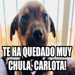 Meme Personalizado - Te ha quedado muy chula, Carlota! - 32132300