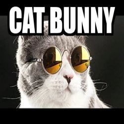 Meme Personalizado - cat bunny - 32132340
