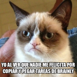 Meme Grumpy Cat - Yo al ver que nadie me felicita por copiar y pegar ...
