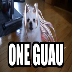 Meme Personalizado - One Guau - 32136743
