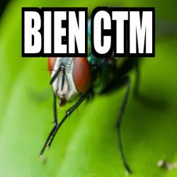 Meme Personalizado - Bien ctm - 32139401