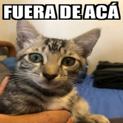 Meme Personalizado - Fuera de acá - 32140848