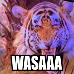 Meme Personalizado - Wasaaa - 32145383