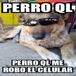 Meme Personalizado - PERRO QL PERRO QL ME ROBO EL CELULAR - 32148142