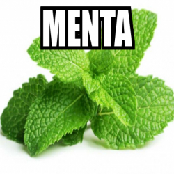 Meme Personalizado - menta - 32148240