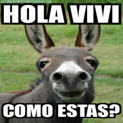 Meme Personalizado - Hola vivi Como estas? - 32152386