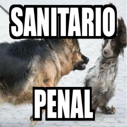 Meme Personalizado - Sanitario Penal - 32155071