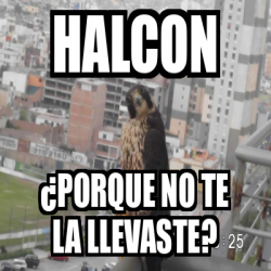 Meme Personalizado - Halcon ¿porque no te la llevaste? - 32157194