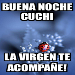 Meme Personalizado - Buena noche Cuchi La Virgen te acompañe! - 32157312