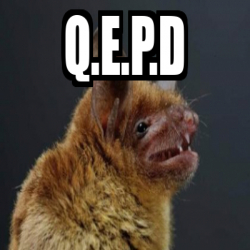 Meme Personalizado - Q.e.p.d - 32157794