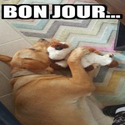 Meme Personalizado - Bon jour... - 32157998